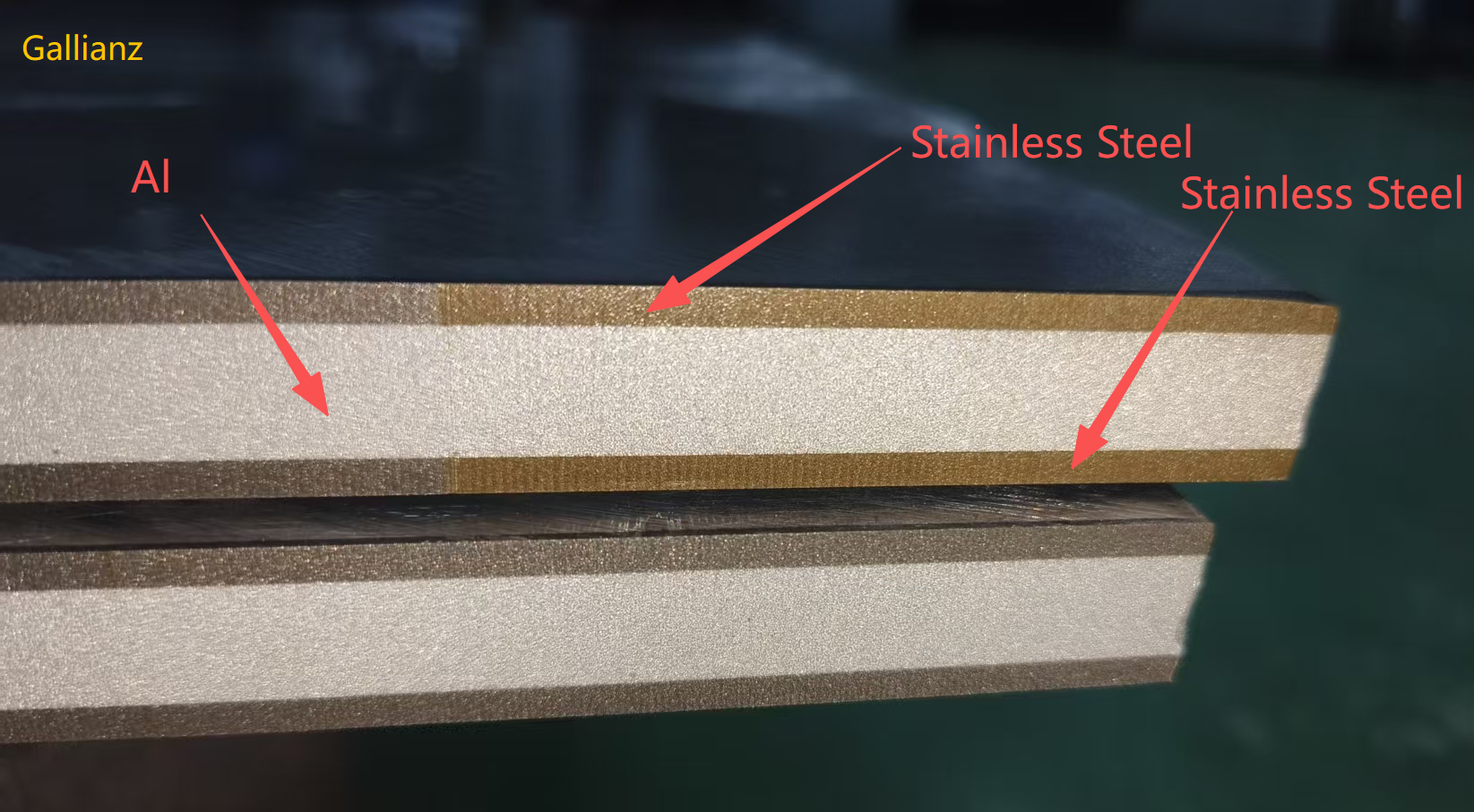 Gallianz Successfully Develops High-Performance Functional-Structural ...